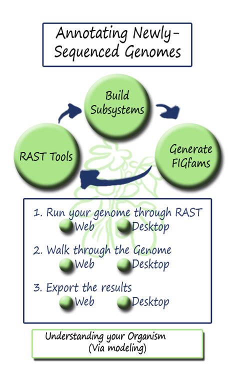 Annotations The SEED Servers