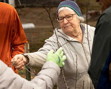 Local Gardeners Pick Up Tips On Pruning Native Fruit Trees Jefferson