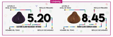 Pin En Colorimetria Cabello