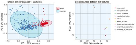 Feature Selection In Machine Learning Breast Cancer Datasets R Bloggers