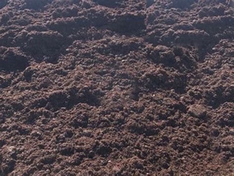 Premium Mushroom Compost Melbourne Bgs