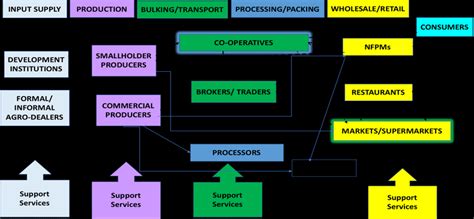 Mapping Of Tomato Value Chain Processes And Actors Download Scientific Diagram