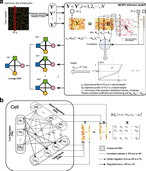 The Global Inference Framework Of Grns Dlgrn A Pipeline Of Dlgrn B