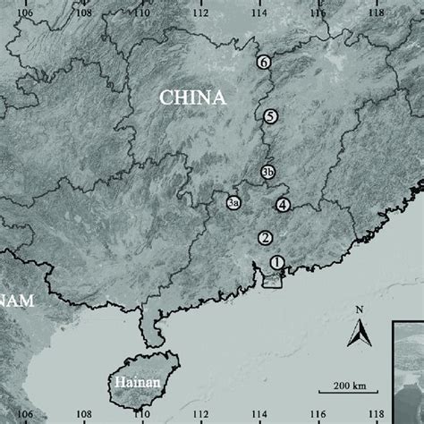 Bayesian Inference Tree Derived From Partial Dna Sequences Of The Download Scientific Diagram