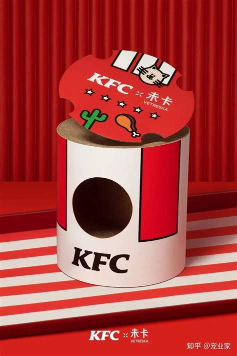 盘点丨2022年那些宠物品牌的IP联名事件 知乎