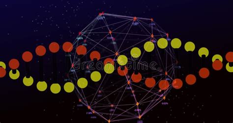 Image Of Dna Structure Spinning Over Globe Of Network Of Connections