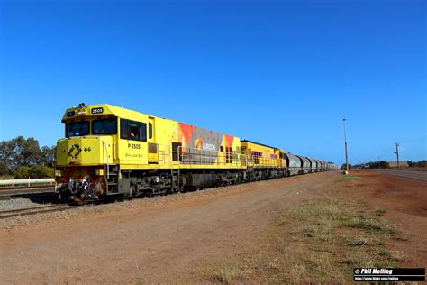 15 September 2023 P2505 P2510 6g50 Empty Grain Narngulu Flickr