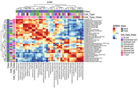 ScRNA Seq Liver
