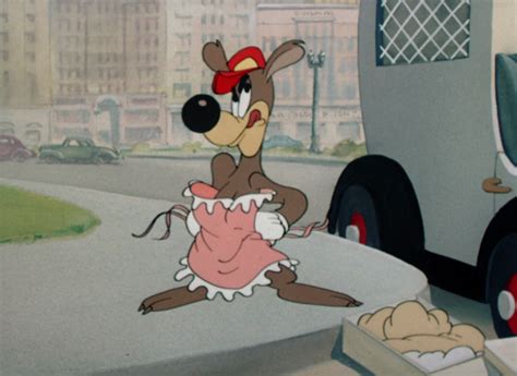 Don M Yowp Lets Try Sex Tex