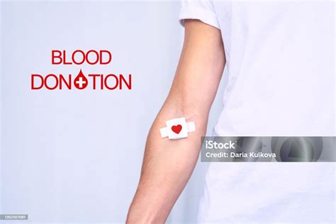 세계 혈액 기증자의 날 헌혈 혈액을 준 후 붕대를 가진 혈액 기증자 헌혈에 대한 스톡 사진 및 기타 이미지 헌혈 팔 신체