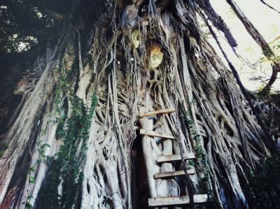 Ultimate Treehouse Tumbex