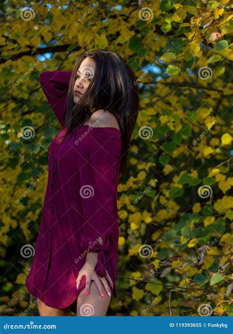 Beautiful Woman Posing Sitting Ground In Autumn Park Stock Image