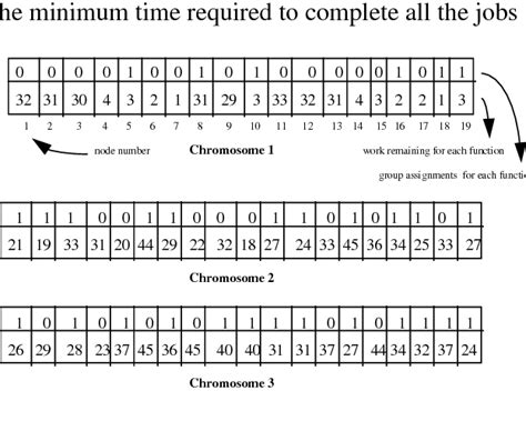 Chromosome Representation Download Scientific Diagram