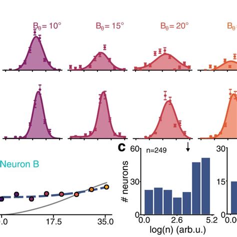Single Neuron Tuning Correlates With Input Variance Additional Examples