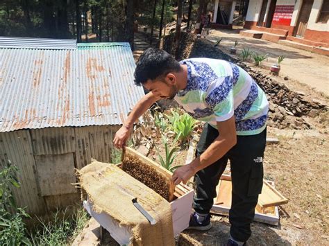 Eshwar Singh On Linkedin Beekeeping Sustainability Consultancy Training Apiculture Ssbctc…