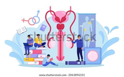 People Studying Sex Education Human Biology Stock Vector Royalty Free Shutterstock