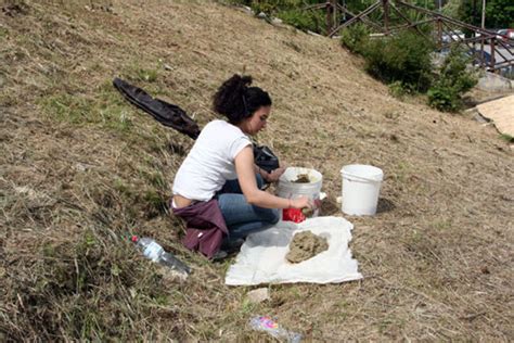 Gigant By Kara Lyons At Ebor