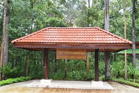 เช้าวันเสา วัดป่าถ้ำพระเทพนิมิตร หลวงพ่อสมเกียรติ ชิตมาโร