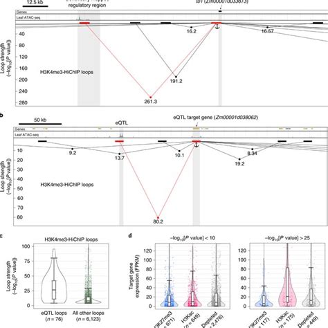 Hi C And Hichip Identify Dacr Gene Interactions A Contact Matrix Heat Download Scientific