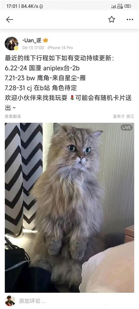 闲谈交流 你们觉得今年能看到来自星尘的新消息吗 NGA玩家社区