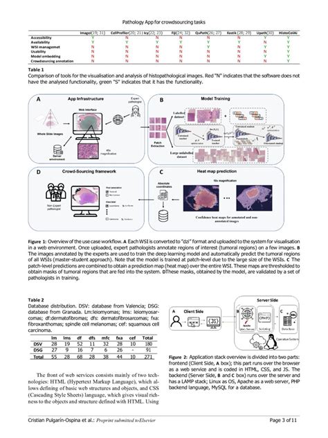 Histocolai An Open Source Web Platform For Collaborative Digital