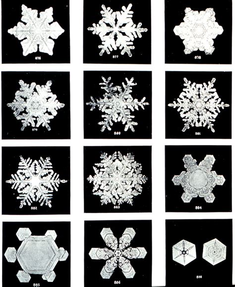 Real Snowflake Under Microscope