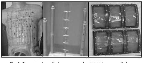 Figure 1 From Evaluation Of Magnetic Field Tomography Inverse Problem