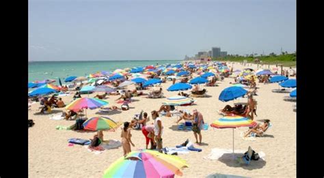 Haulover Beach Park South Florida Finds