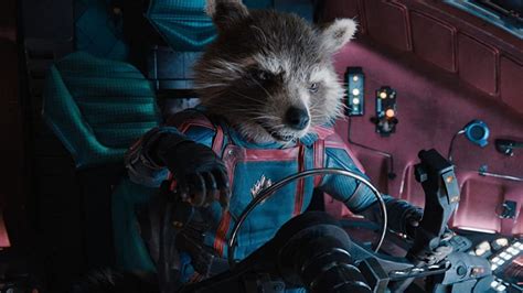 How Old Is Rocket Raccoon In Every Guardians Of The Galaxy Movie