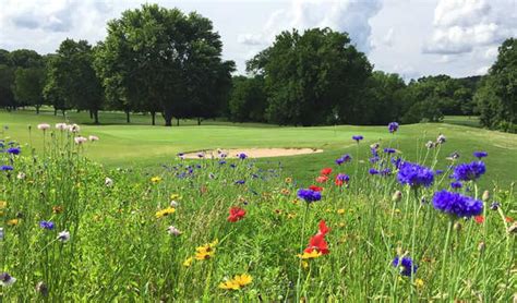 Kingswood Golf Course Tee Times Bella Vista Ar