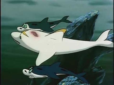 Luka El Delfín Que Le Salvó Cuando Era Niño Triton