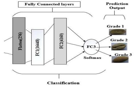 Classification Part Of Proposed Cnn Model The Classifier Is