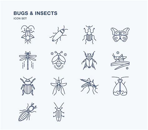 Premium Vector Bugs And Insects Illustration