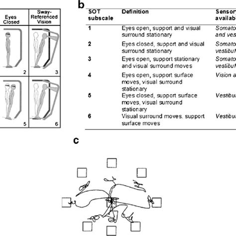 Response Latencies In The Motor Control Test Download Scientific Diagram