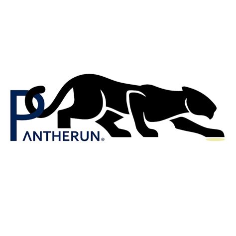 pantherun technologies youtube