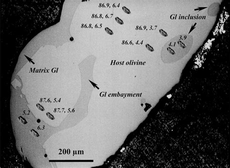 Photomicrograph Of An Olivine Crystal Surrounded By Matrix Glass And Download Scientific