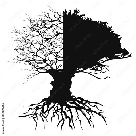 Half Branch Half Leaves Tree With Root Vector Stock Vector Adobe Stock