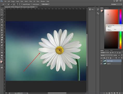 How To Deselect In Photoshop Within Minutes Clipping Way