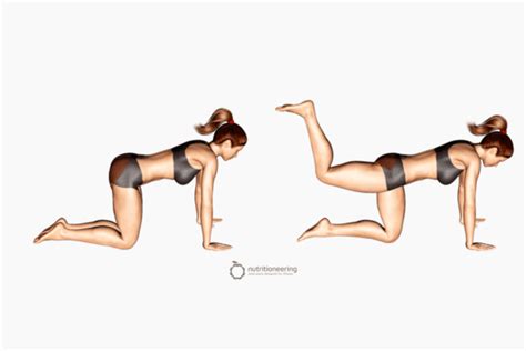 How To Do Glute Kickbacks With Correct Form Guide And Video