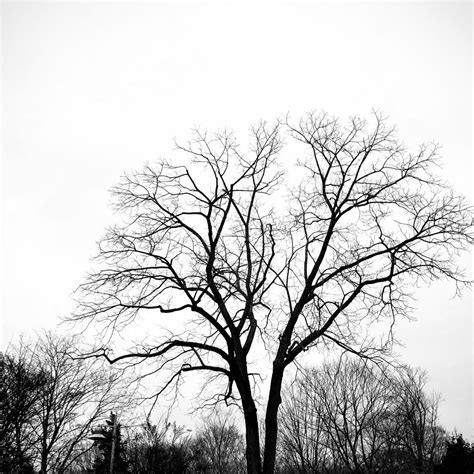 Thedetachmentfaults Collection Bandcamp