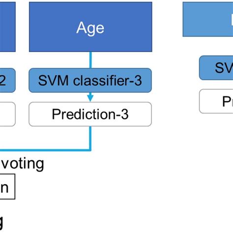 The Basis Of Svm Classification Download Scientific Diagram