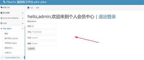 Sql注入 Pikachu靶场通关sql注入靶场 Csdn博客 Sql注入 Pikachu靶场通关sql注入靶场 Csdn博客