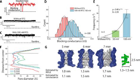 Single Molecule Detection A Illustration Of A Typical Blocking Download Scientific Diagram