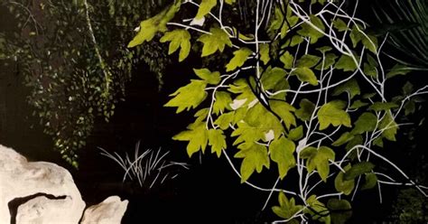 Danielle Launay Biography Shows Articles And More Artsy