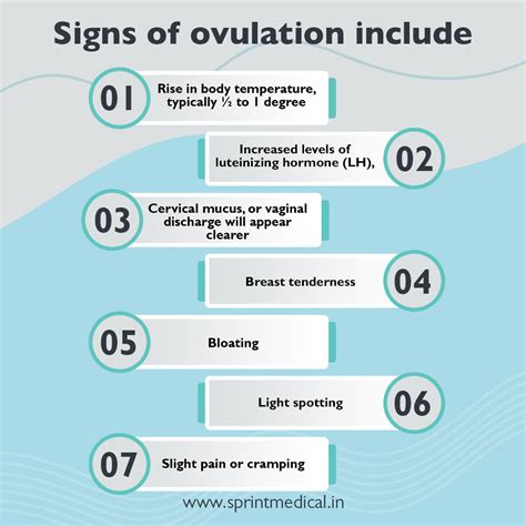 Ovulation And Pregnancy Blog