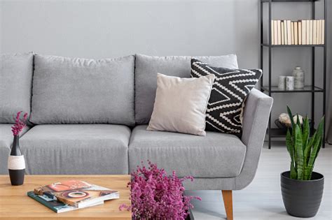 꽃과 나무 테이블 평면 인테리어에 방석과 회색 Settee 옆 공장 실제 사진 0명에 대한 스톡 사진 및 기타 이미지 0명 가구 가정의 방 Istock