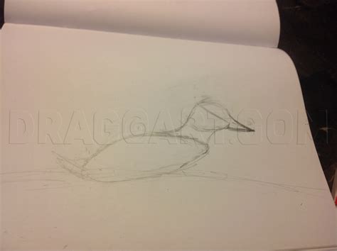 How To Draw A Duck Drawing Step By Step By She Wolf DragoArt