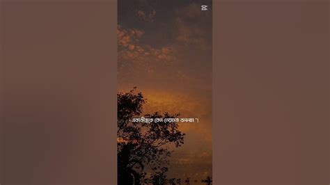 আল্লাহপাকের পক্ষ থেকে একটা বিশেষ অনুগ্রহ হচ্ছে একাকীত্ব Viralvideo Shortvideos