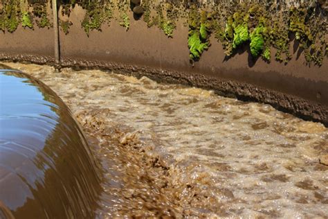 Sludge Complete Management Guide Wealthinwastes