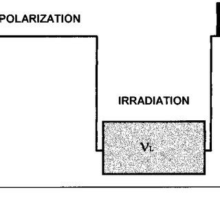 Magnetic Field And Rf Pulse Sequence Used To Check The Relaxation Download Scientific Diagram
